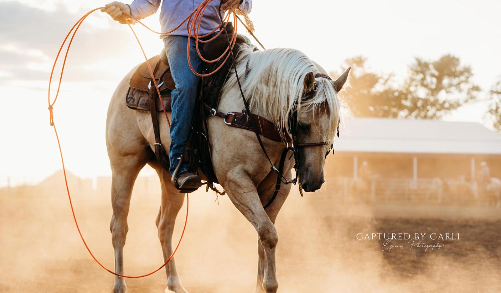 Jones Family and Versatility Horses